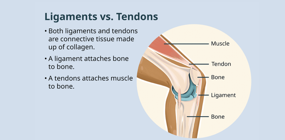Understanding and Preventing Tendon and Ligament Injuries - Aadhya ...